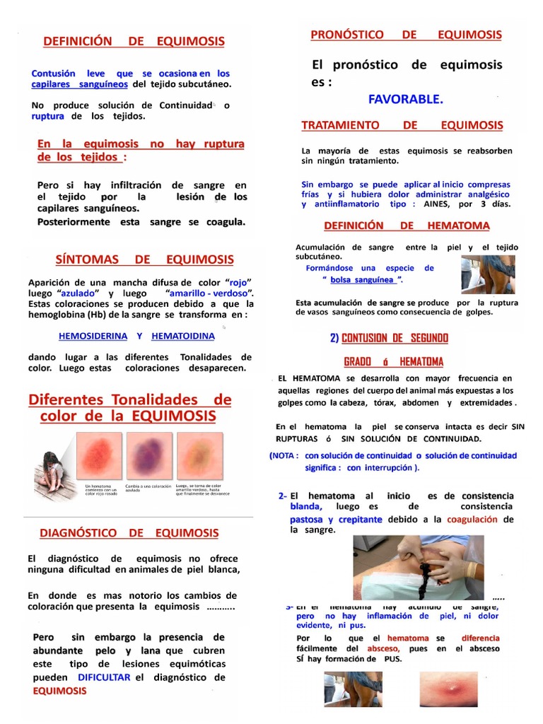 Semana 3 - Equimosis | PDF
