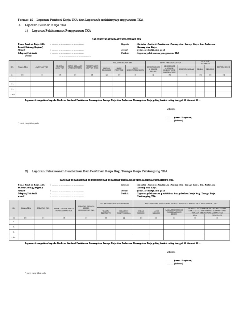 Laporan Penggunaaan TKA | PDF