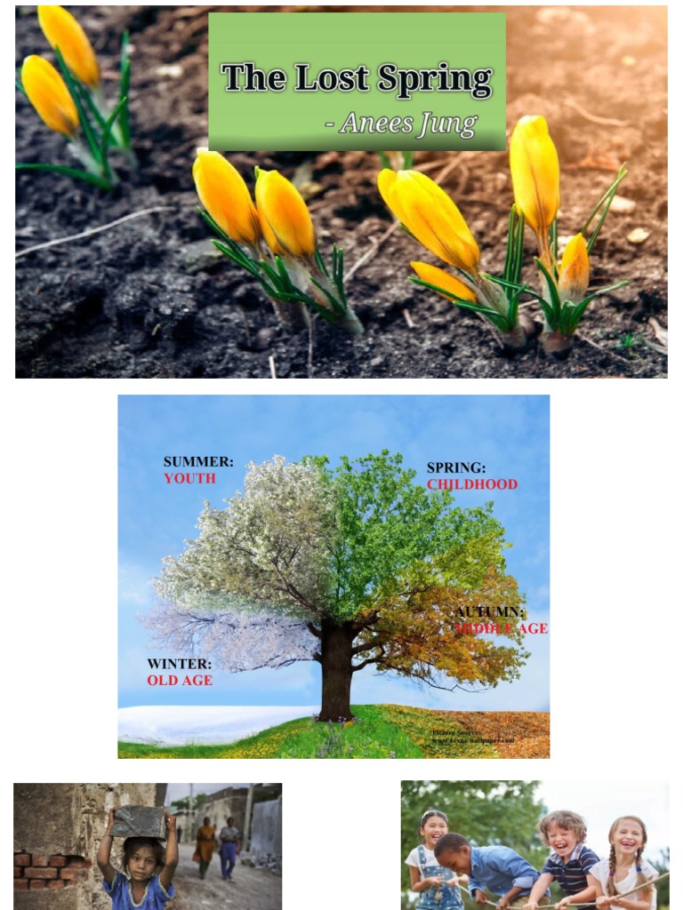 Lost Spring: Anees Jung | PDF