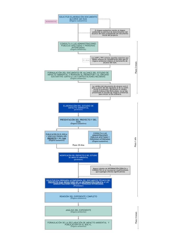 Esquema de EIA Ordinaria | PDF