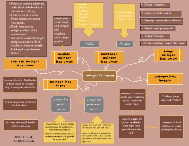 Kintani Diva (6B) - Mindmap 3 (Jaringan Ikat Umum) | PDF