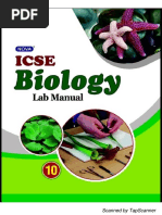 Maths Project Icse Class 10 | PDF