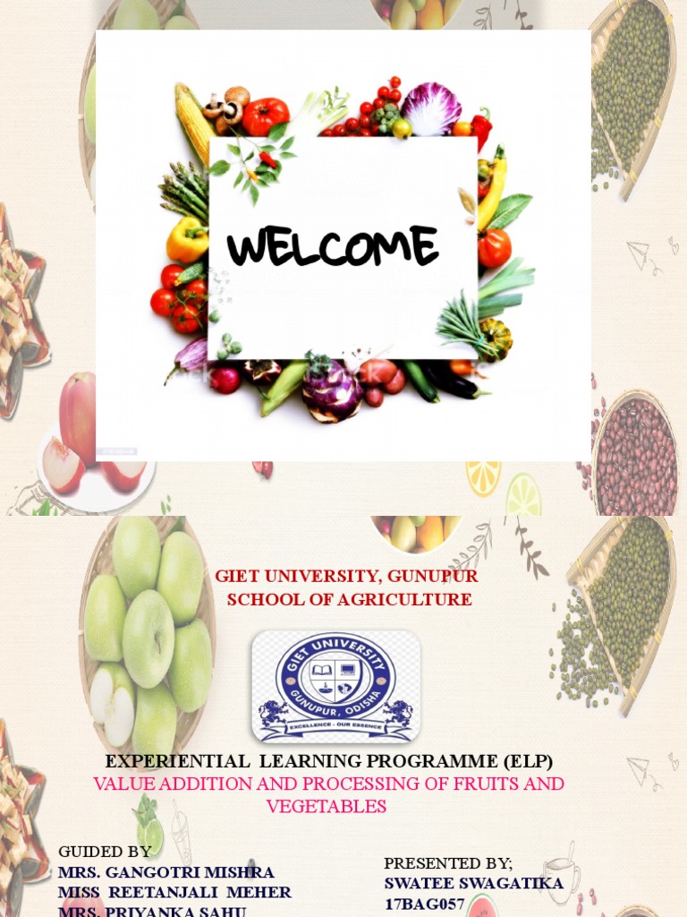 17bag057 Elp Presentation | PDF | Pickling | French Fries