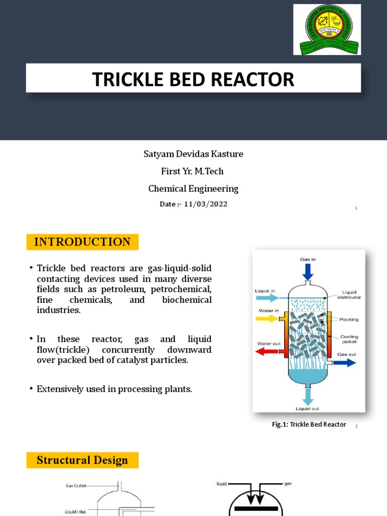 Trickle Bed Reactor Overview and Mechanisms | PDF | Chemical Reactor ...