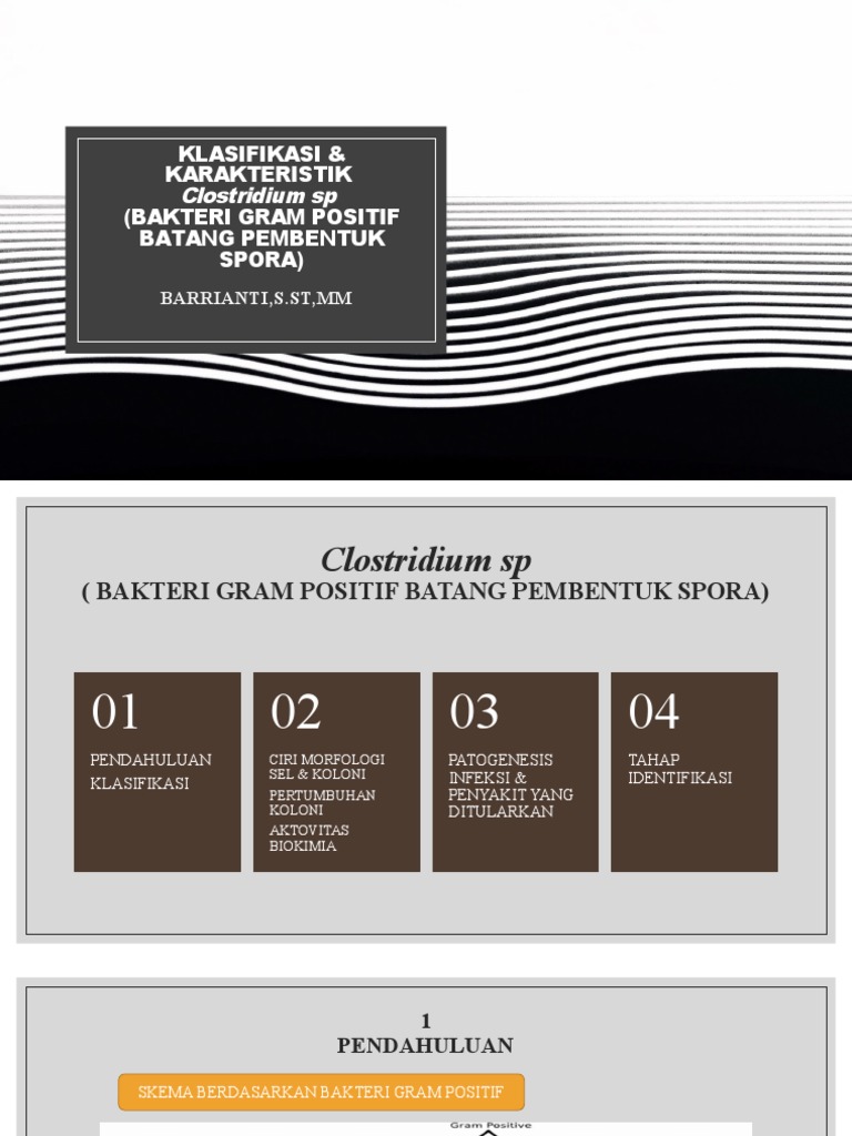 Klasifikasi & Karakteristik Bakteri Gram Positif Batang Pembentuk | PDF