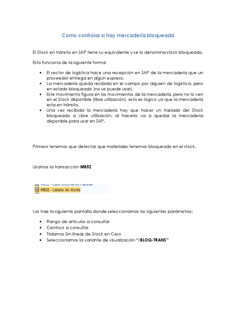 Control de Stock Bloqueado | PDF | Logística | Informática