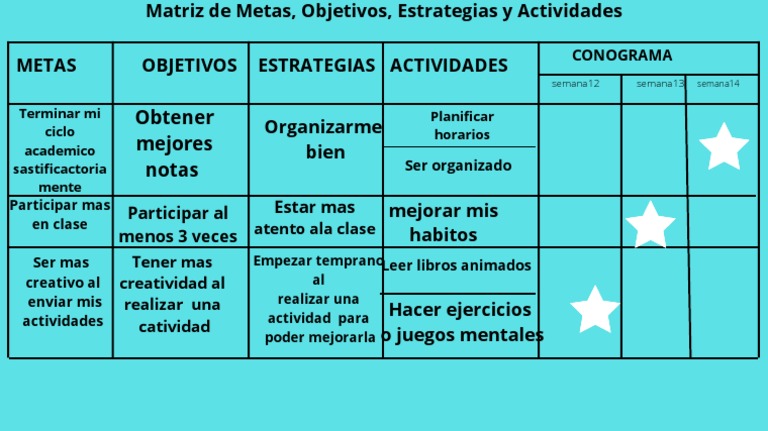 Matriz de Metas, Objetivos, Estrategias y Actividades | PDF