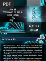 Entendendo a Quimiotaxia | PDF | Quimiotaxia | Sistema imunológico