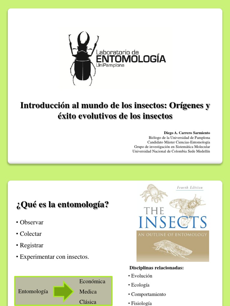 Origen de Los Insectos | PDF | Insectos | Evolución
