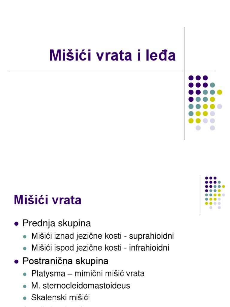 3.3 Misici Vrata I Ledja | PDF
