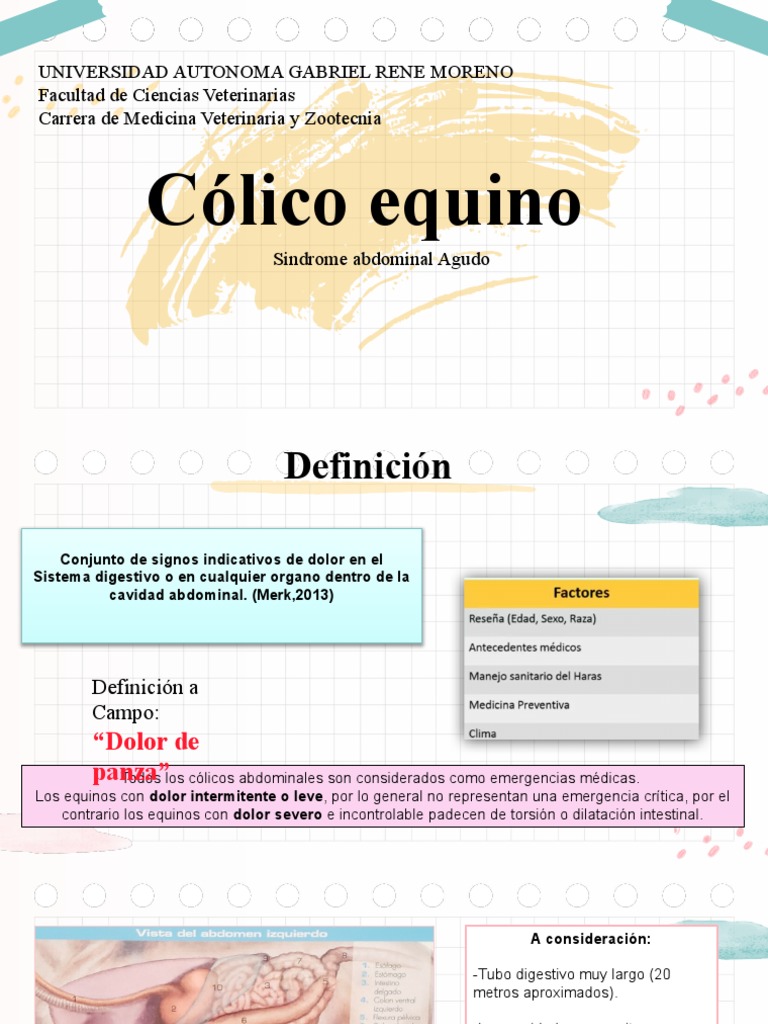 Colico Equino. | PDF | Medicina | Enfermedades y trastornos