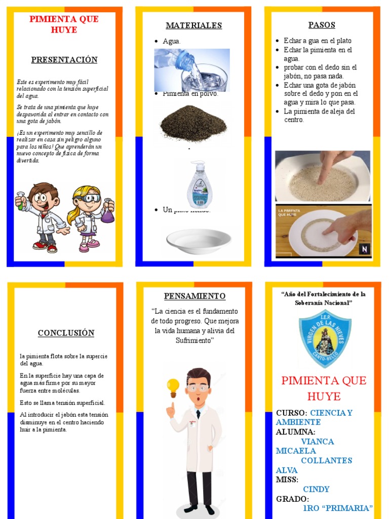 Triptico Pimienta Que Huye | PDF | Agua | Tensión superficial