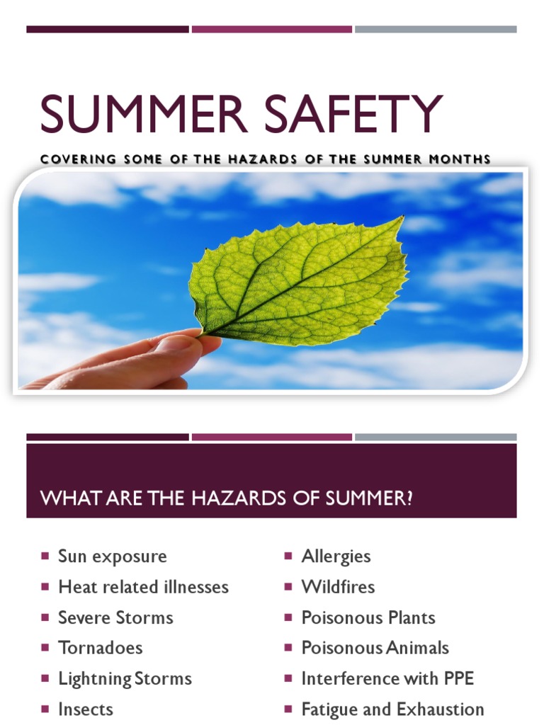 Summer Safety: Covering Some of The Hazards of The Summer Months ...