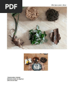 Awo Orunmila Magias (Akose) | PDF | Religião étnica | Santeria