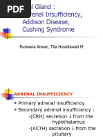 Endocrine Anesthesia MCQs | PDF | Adrenal Gland | Cortisol