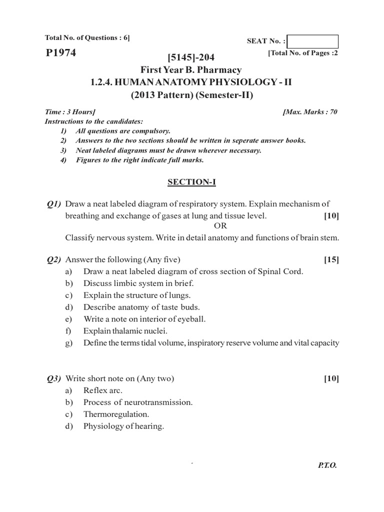 Anatomy and Physiology Exam: Respiratory System, Nervous System, Urine ...