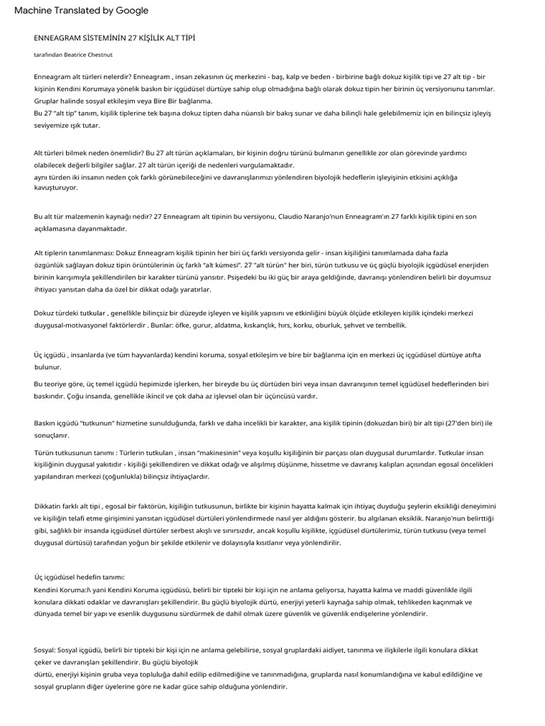 Bea Chestnut 27 Subtypes Booklet | PDF