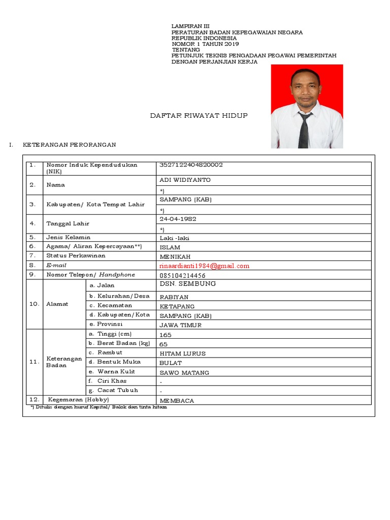 ADI-EDIT-Daftar Riwayat Hidup PPPK | PDF