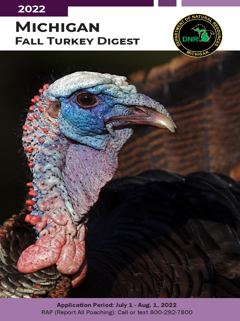 Fall Turkey Hunting Digest | PDF | Hunting | Poaching