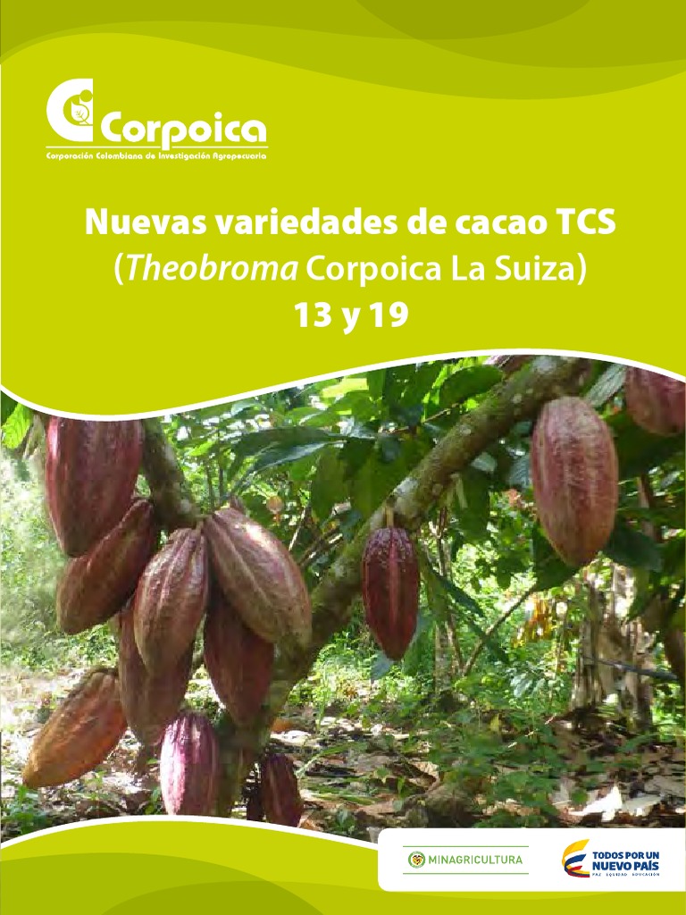 Fichas Técnicas Tcs13 y Tcs19 | PDF | Suelo | Colombia