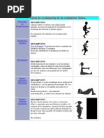 Test Eurofit | PDF