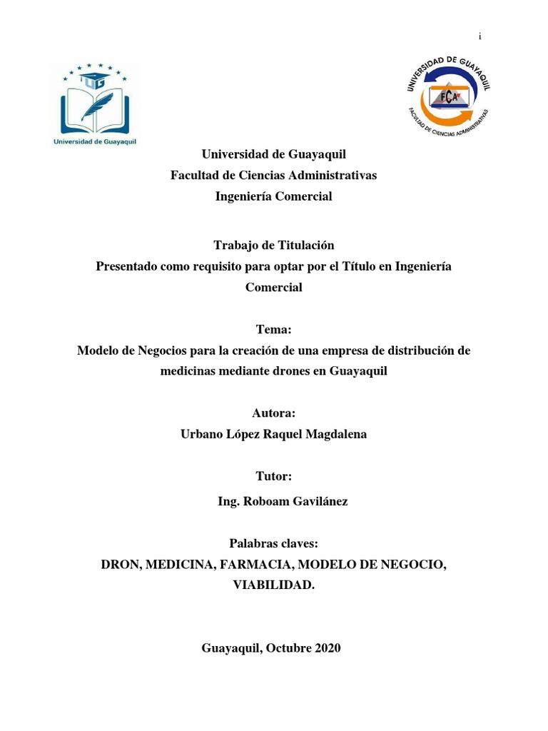 A1-2020 - Tesis - Urbano Lopez Raquel Magdalena | PDF | Logística ...