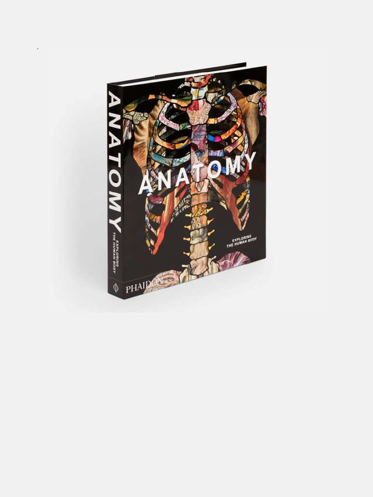 Anatomy Exploring The Human Body | PDF | Circulatory System | Human Body