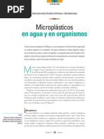 Microplasticos en Playa | PDF | El plastico | Residuos
