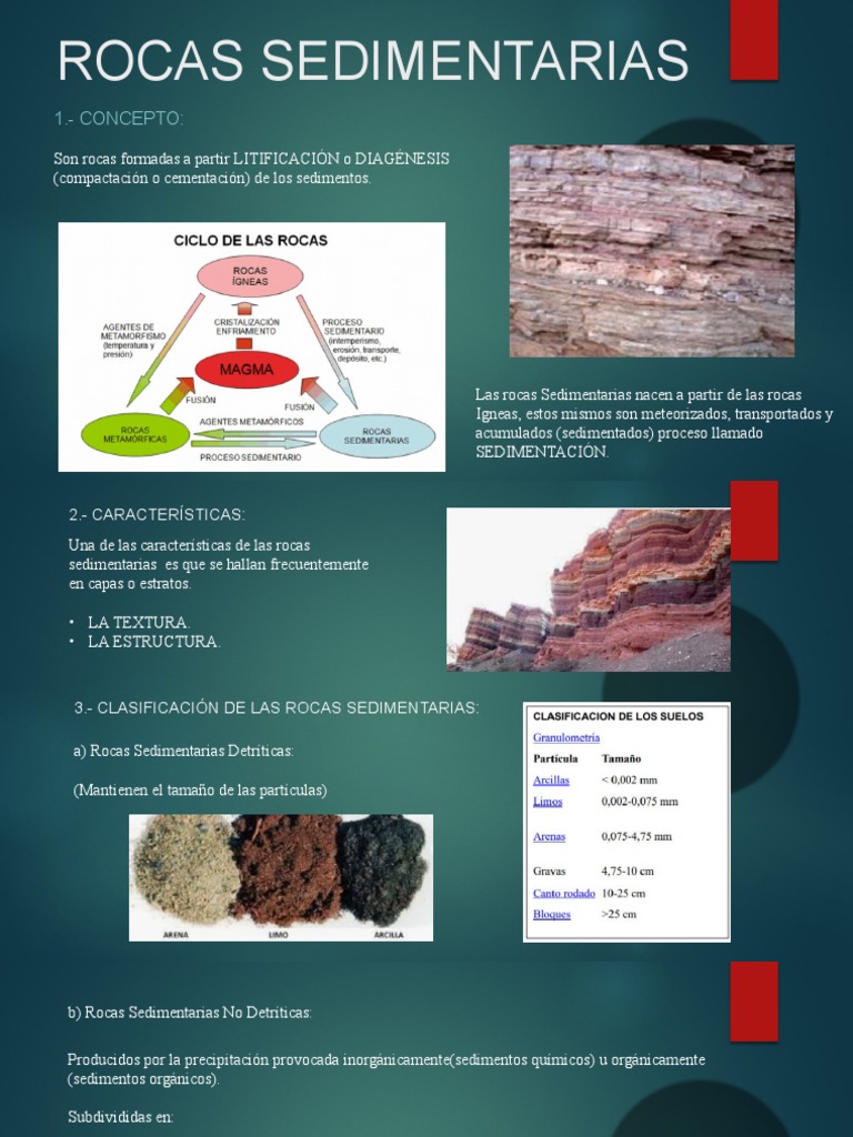 Rocas Sedimentarias | PDF