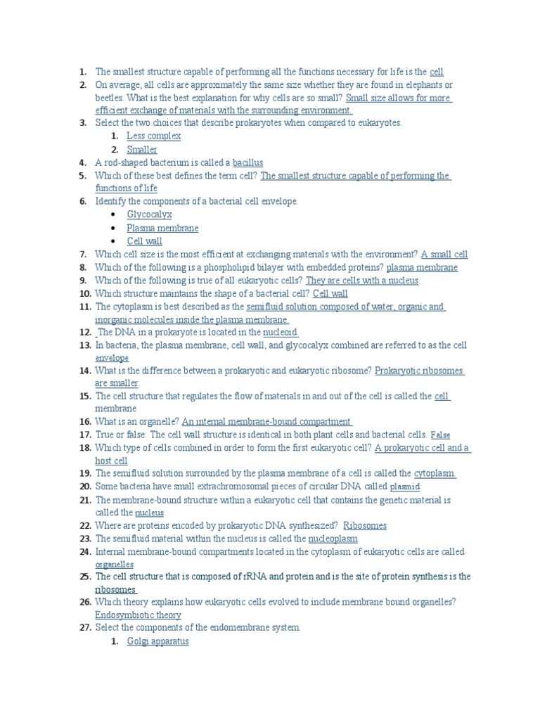 Smartbook 4 | PDF | Cell (Biology) | Cytoskeleton