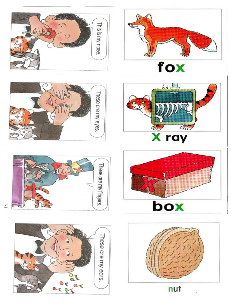 Let's Go Starter Flash Cards Lesson 15-21 | PDF