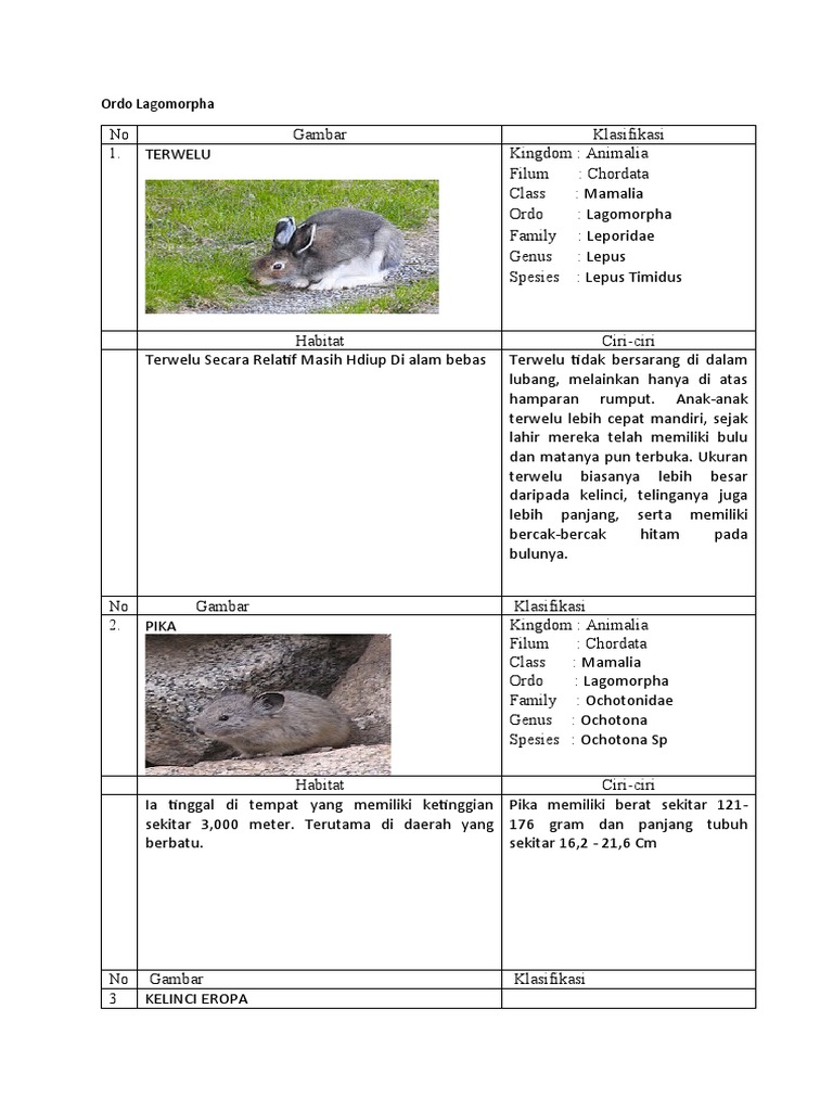 Klasifikasi Ordo Lagomorpha | PDF