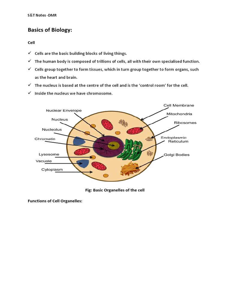 Basics of Biology:: S&T Notes - DMR | PDF | Dna | Gene