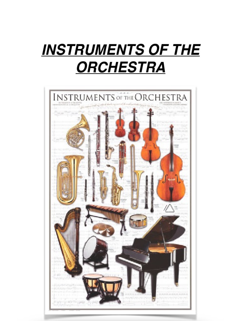 Instruments of The Orchestra | PDF | String Instruments | Brass Instruments