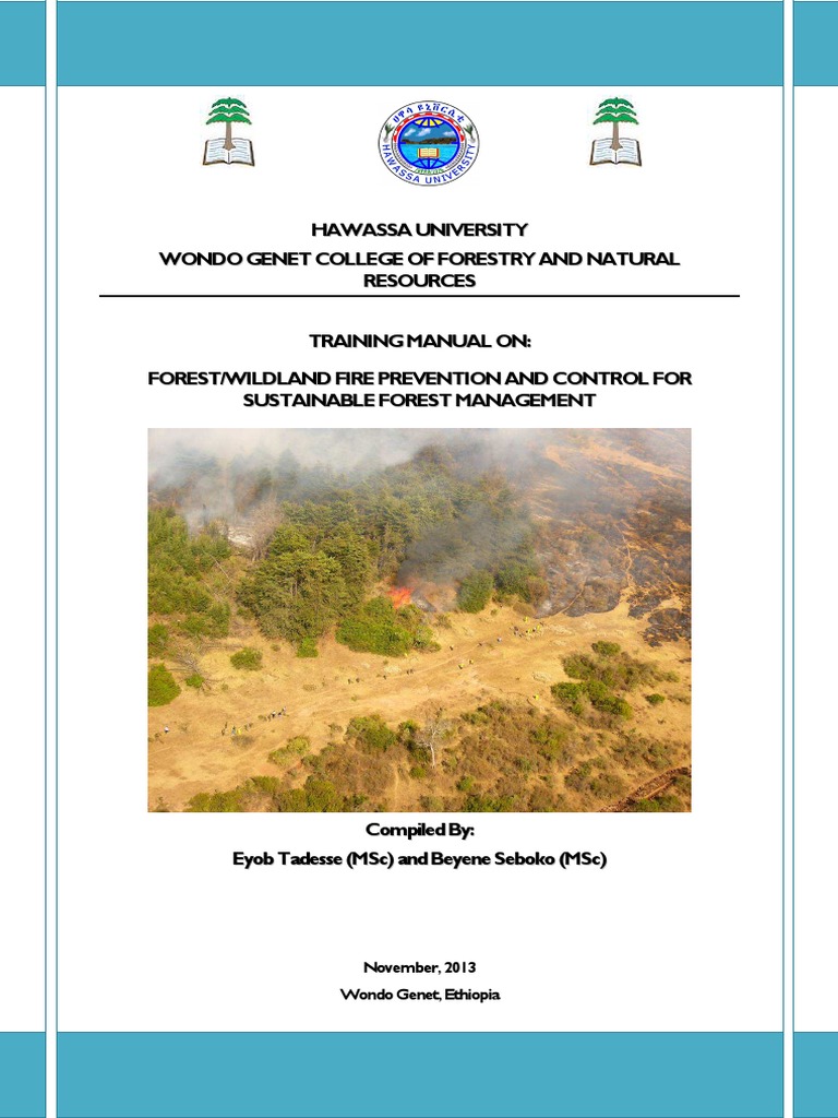 Forest Fire Manual | PDF | Fires | Heat Transfer