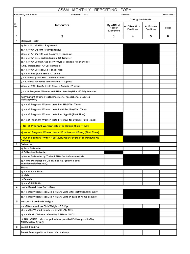 Revised CSSM Monthly Reporting Format For ANMs | PDF