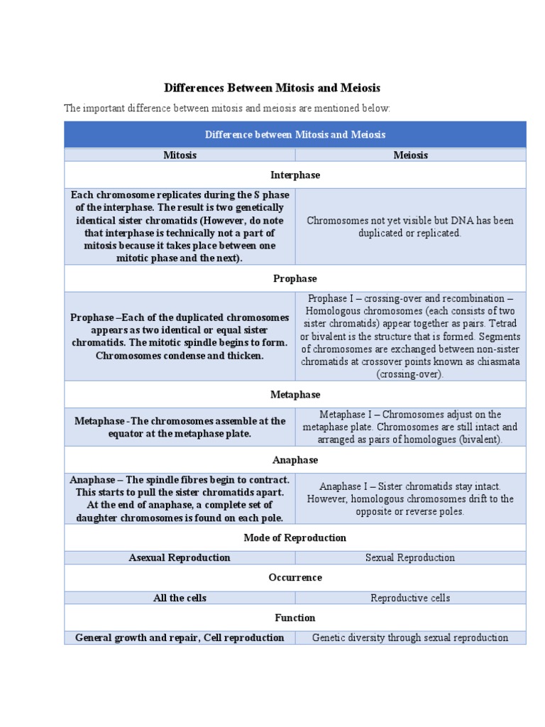 Differences Between Mitosis And Meiosis Difference Between Mitosis And