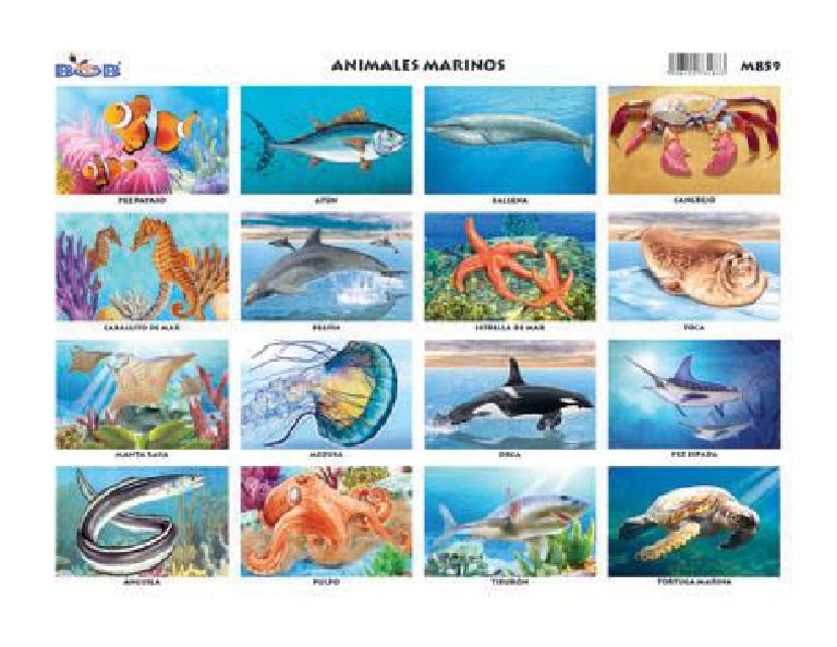 Animales Acuaticos | PDF