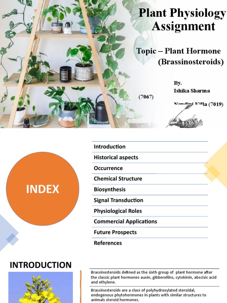 Assignment: Plant Physiology | PDF | Plant Hormone | Plants