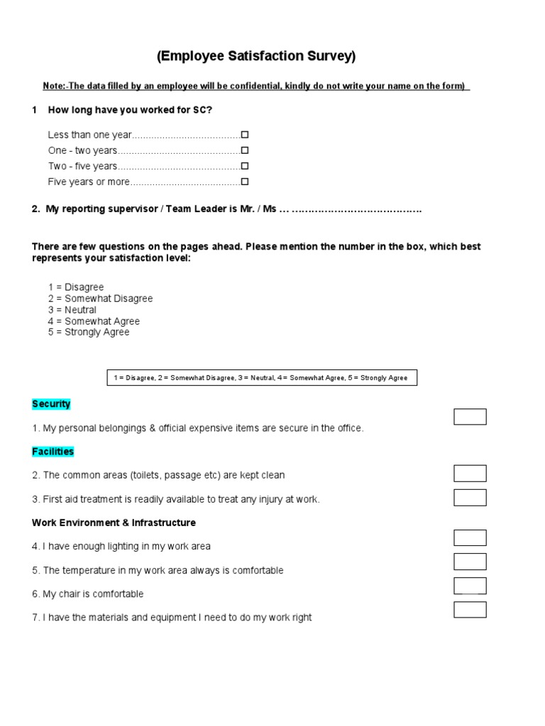 Employment Satisfaction Form | PDF | Job Satisfaction | Employment
