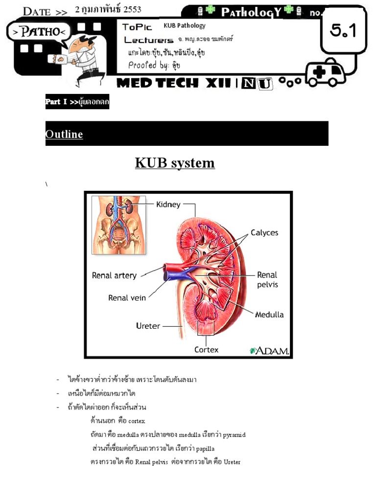 KUB System KUB System: Outline | PDF