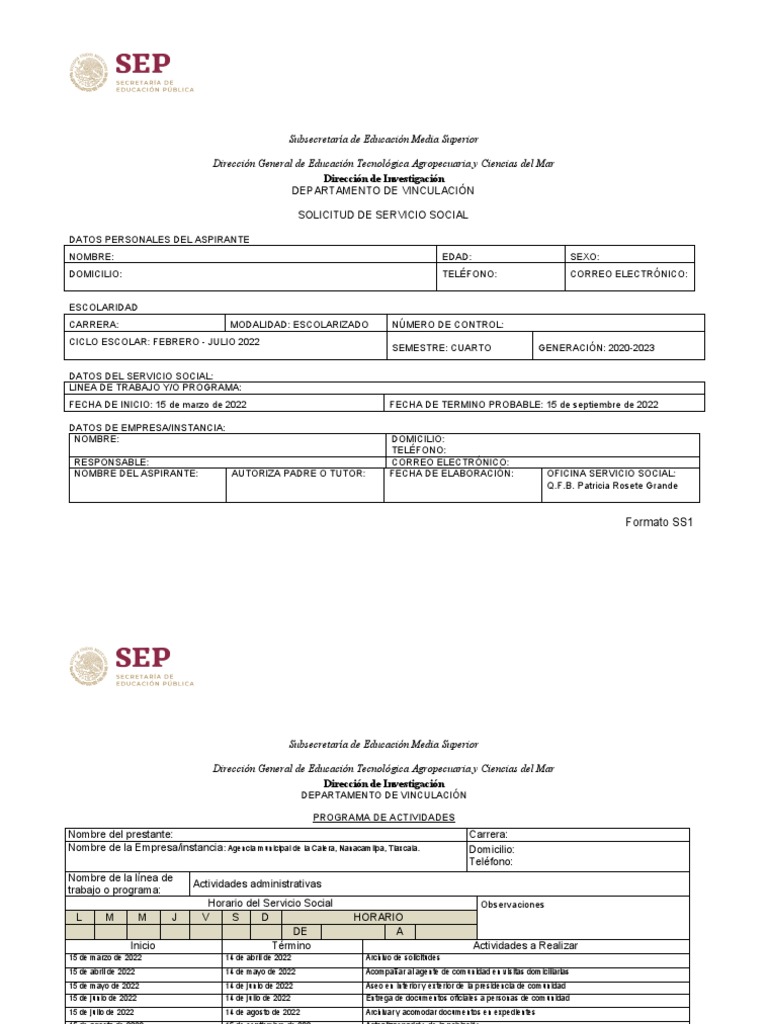 Formatos de Servicio Social 2022 | PDF