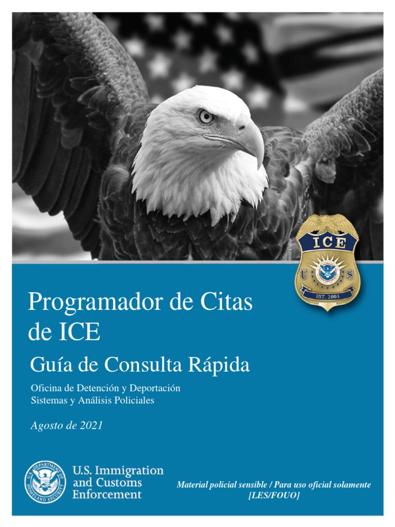 Guía Rápida para Programar Citas ICE | PDF | Informática