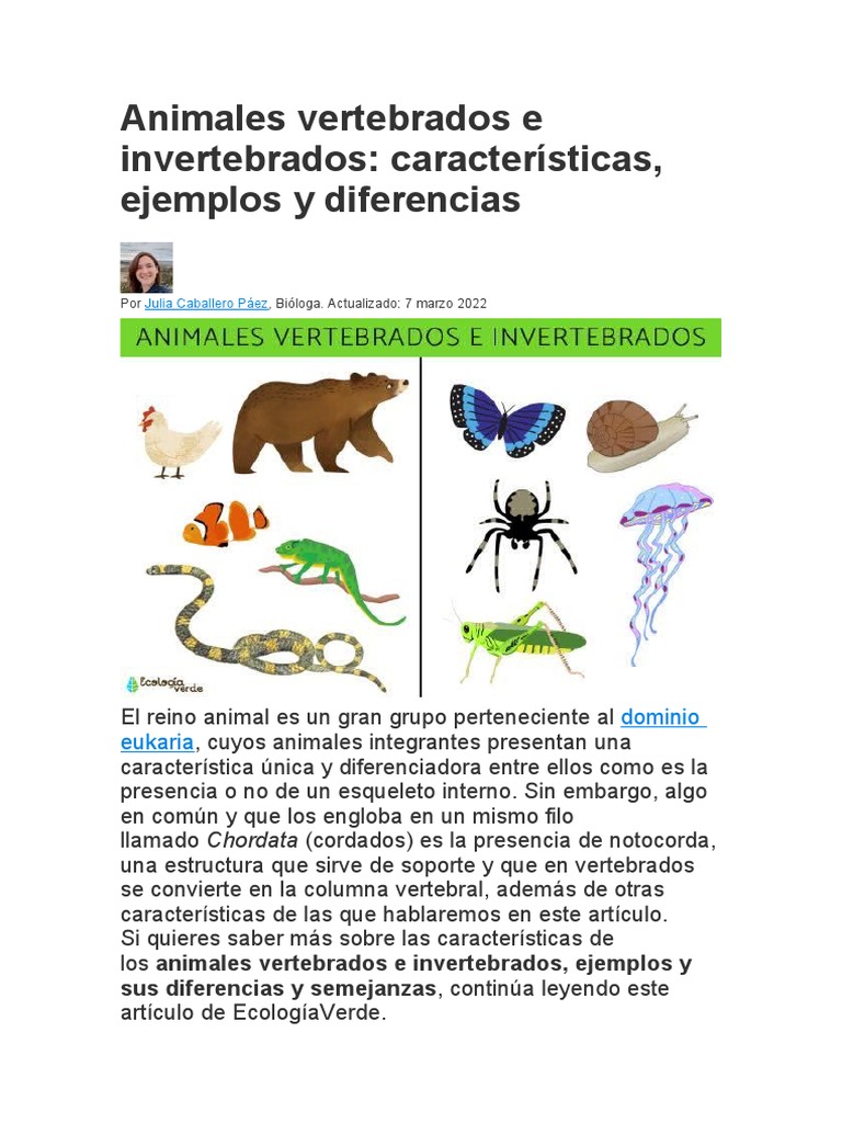 Ejemplos De Animales Vertebrados E Invertebrados