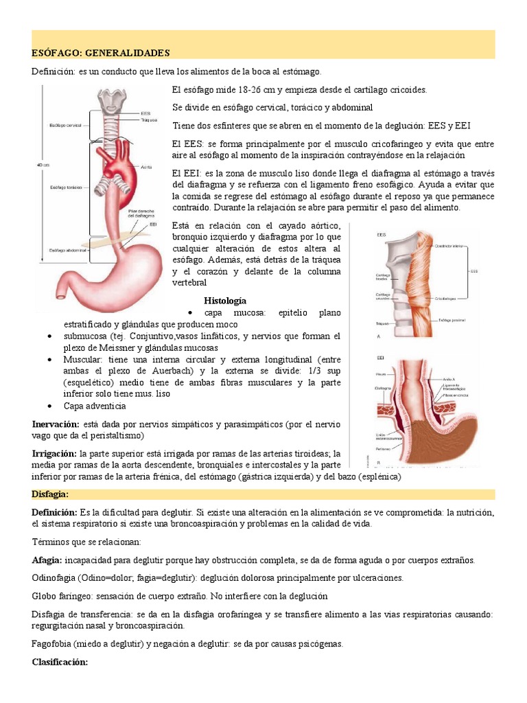 Esófago y Sus Patologías | PDF | La enfermedad por reflujo ...