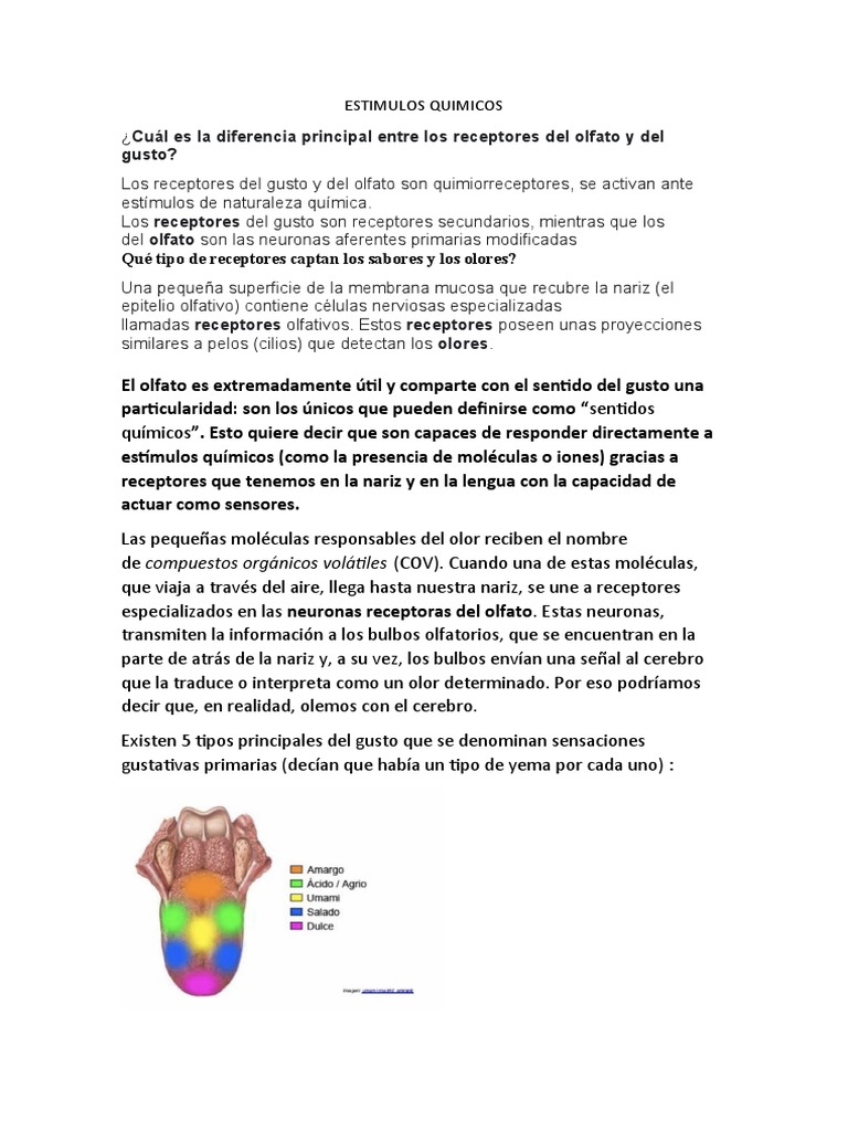 ESTIMULOS QUIMICOS | PDF
