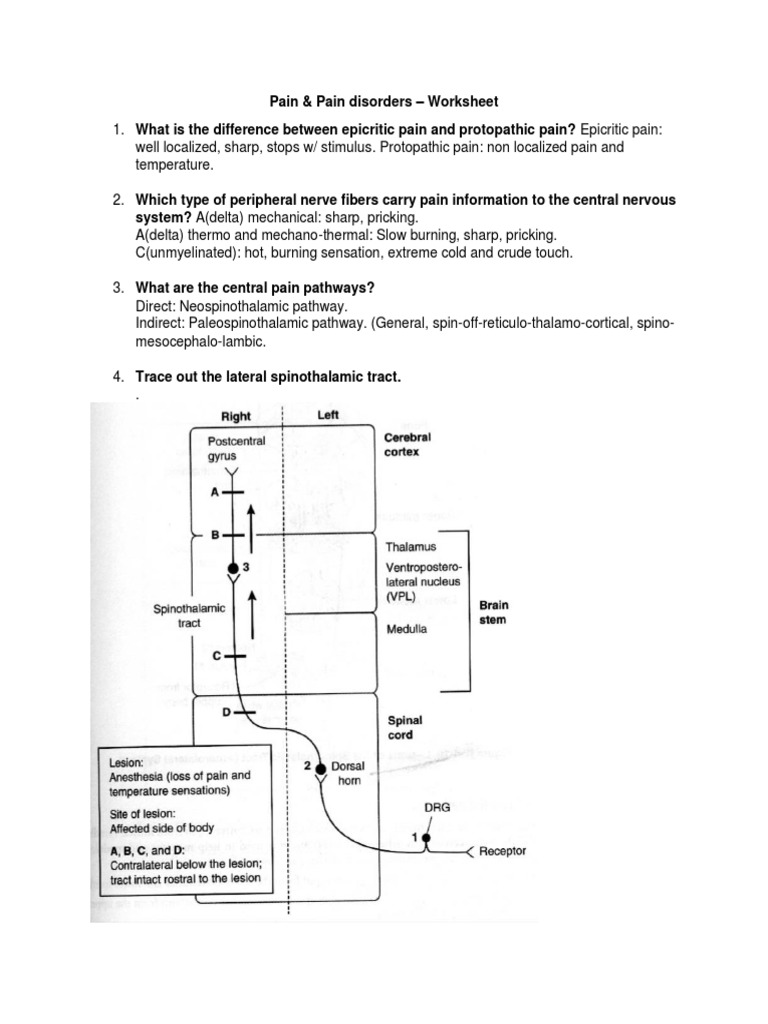 Pain Worksheet, donebyJiriesGharib, To Add Together To Others | PDF ...