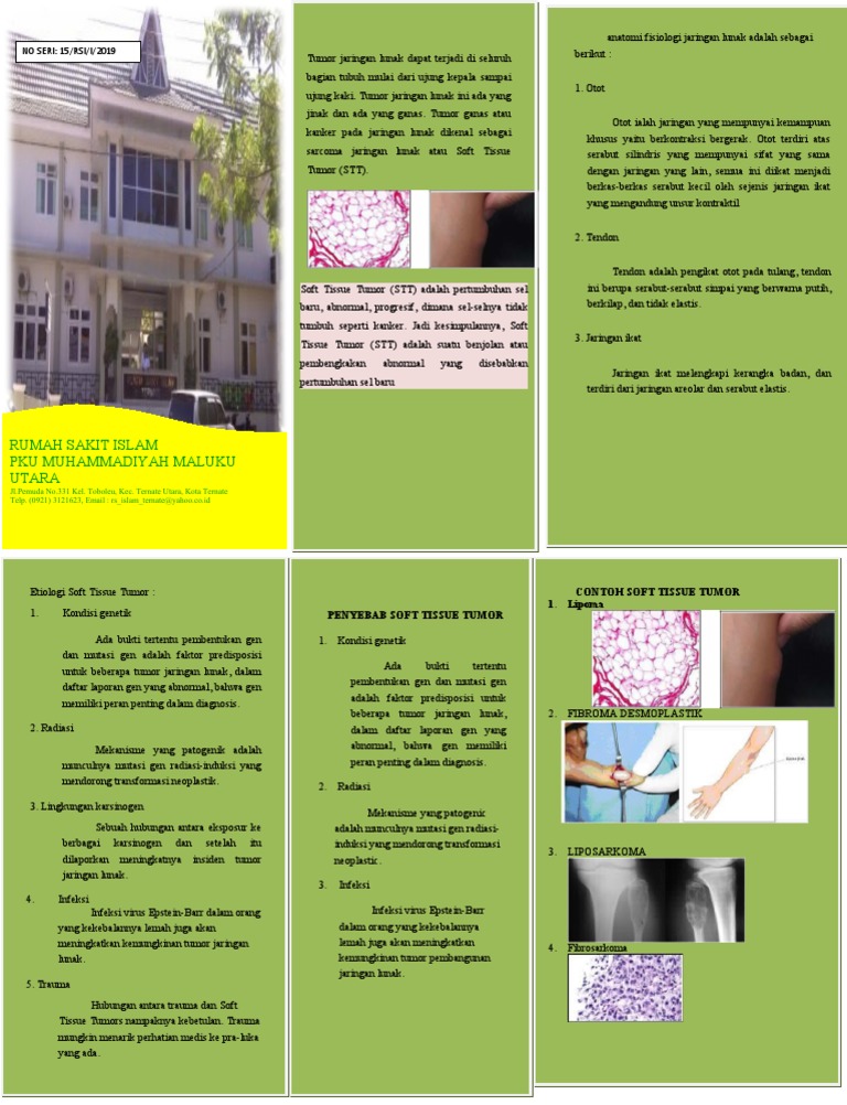 Leaflet Soft Tissue Tumor | PDF