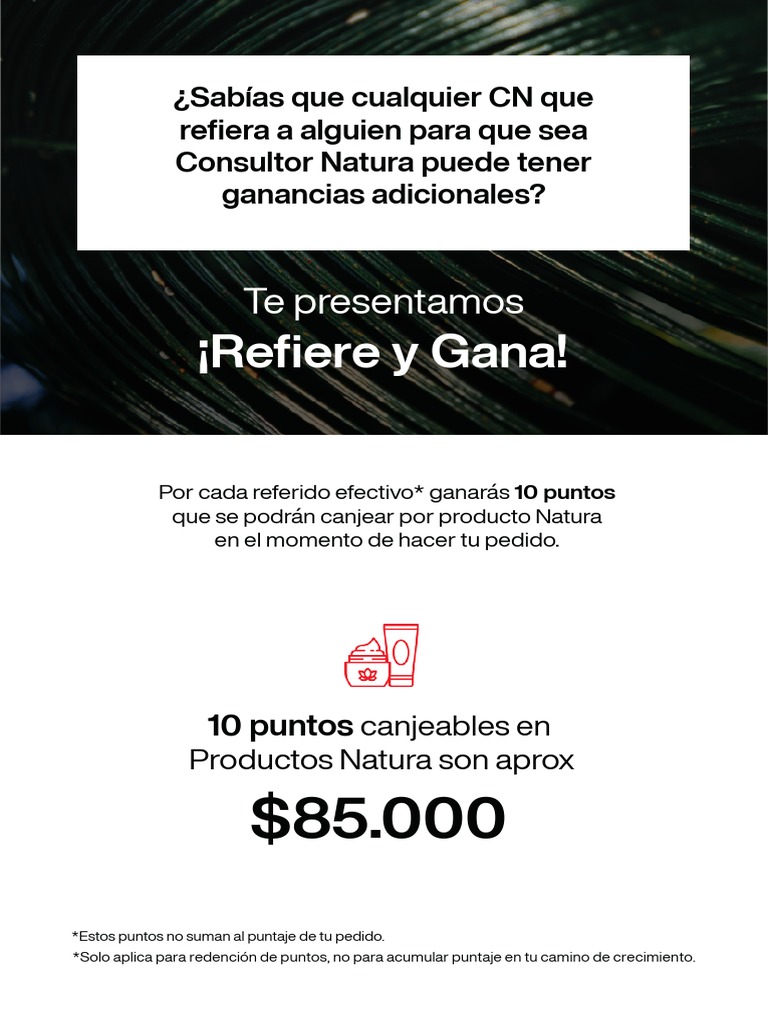 ¡Refiere y Gana!: Te Presentamos | PDF