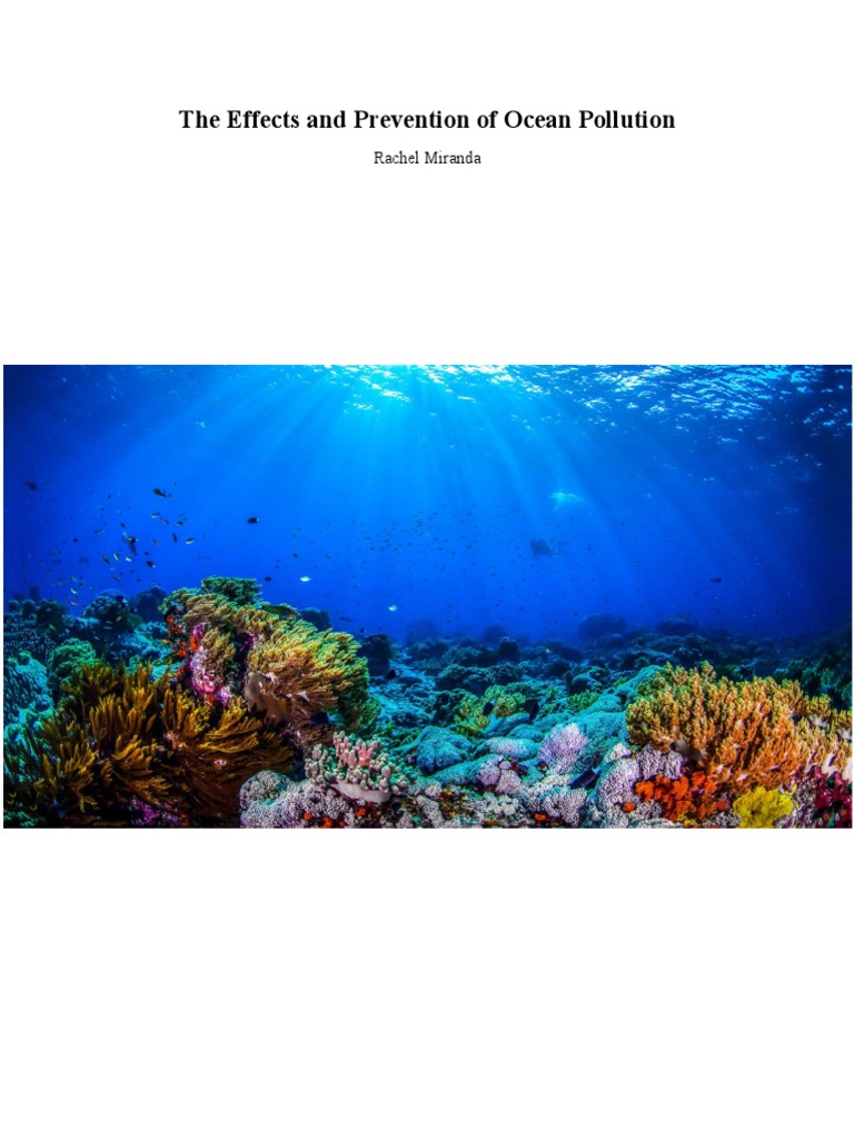 The Effects and Prevention of Ocean Pollution 1 | PDF | Oceans | Pollution